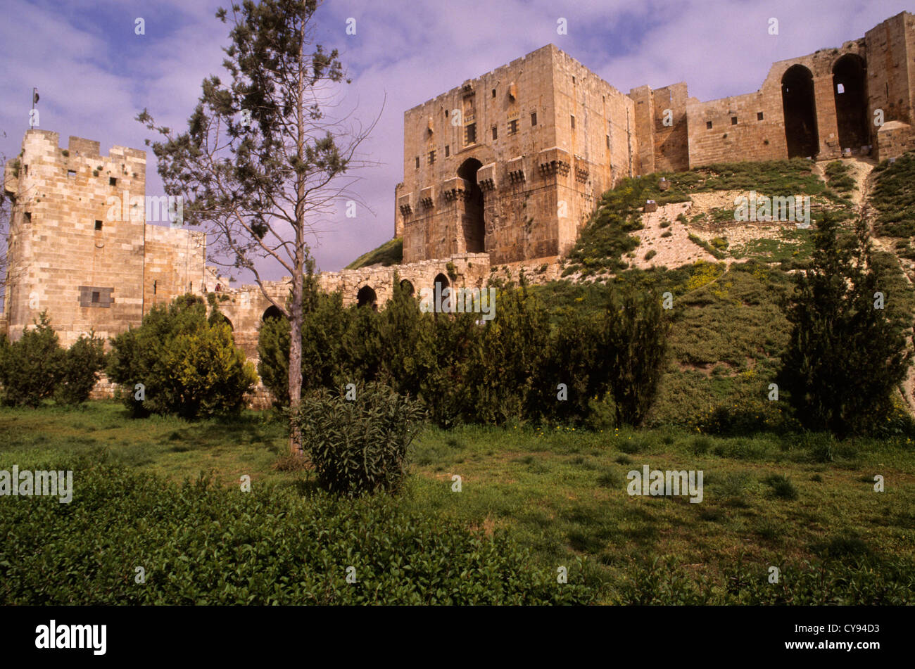 aleppo, ancient city, cittadella, syria, middle east Stock Photo - Alamy
