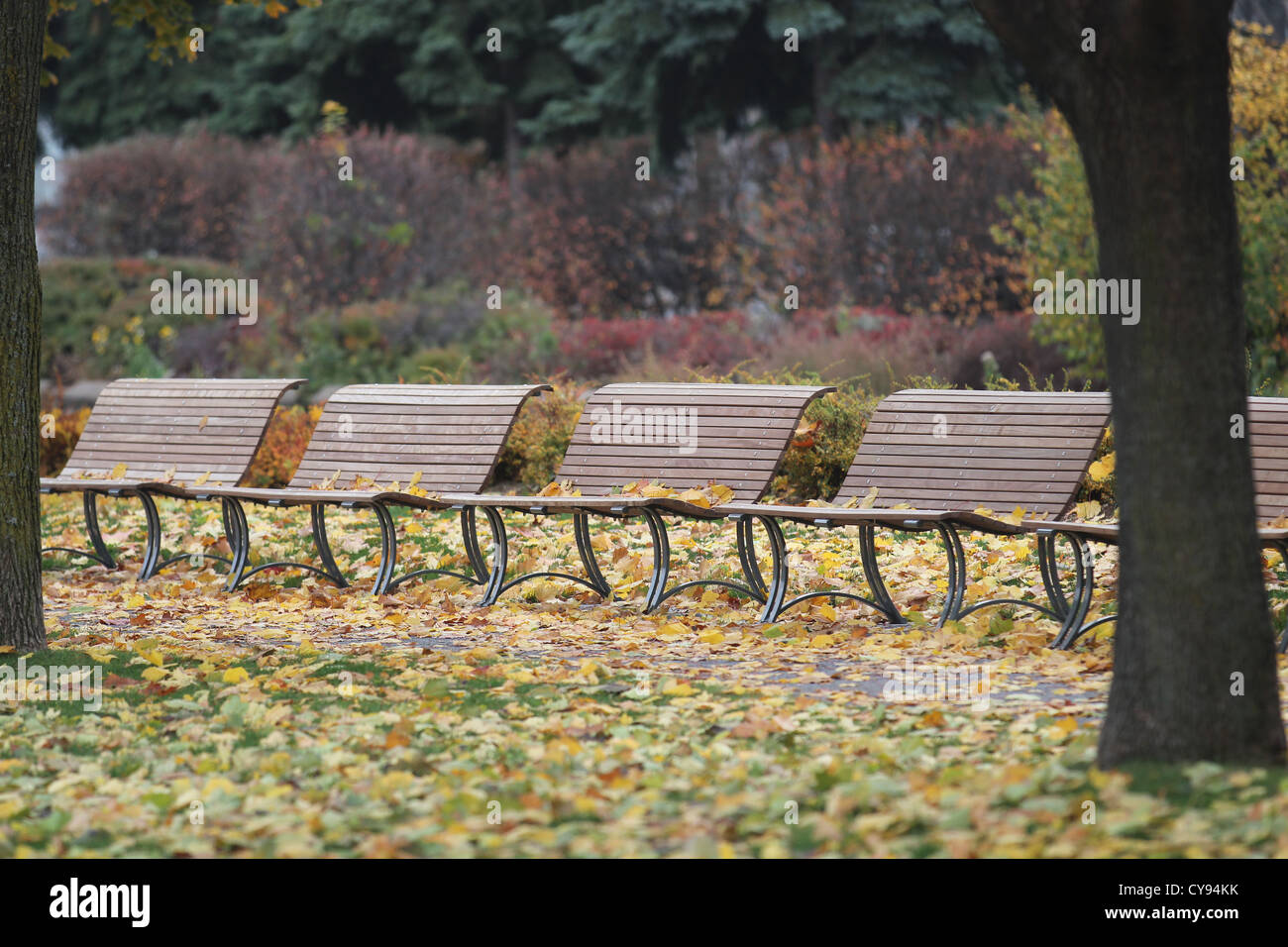 Row of park benches in a park Stock Photo - Alamy