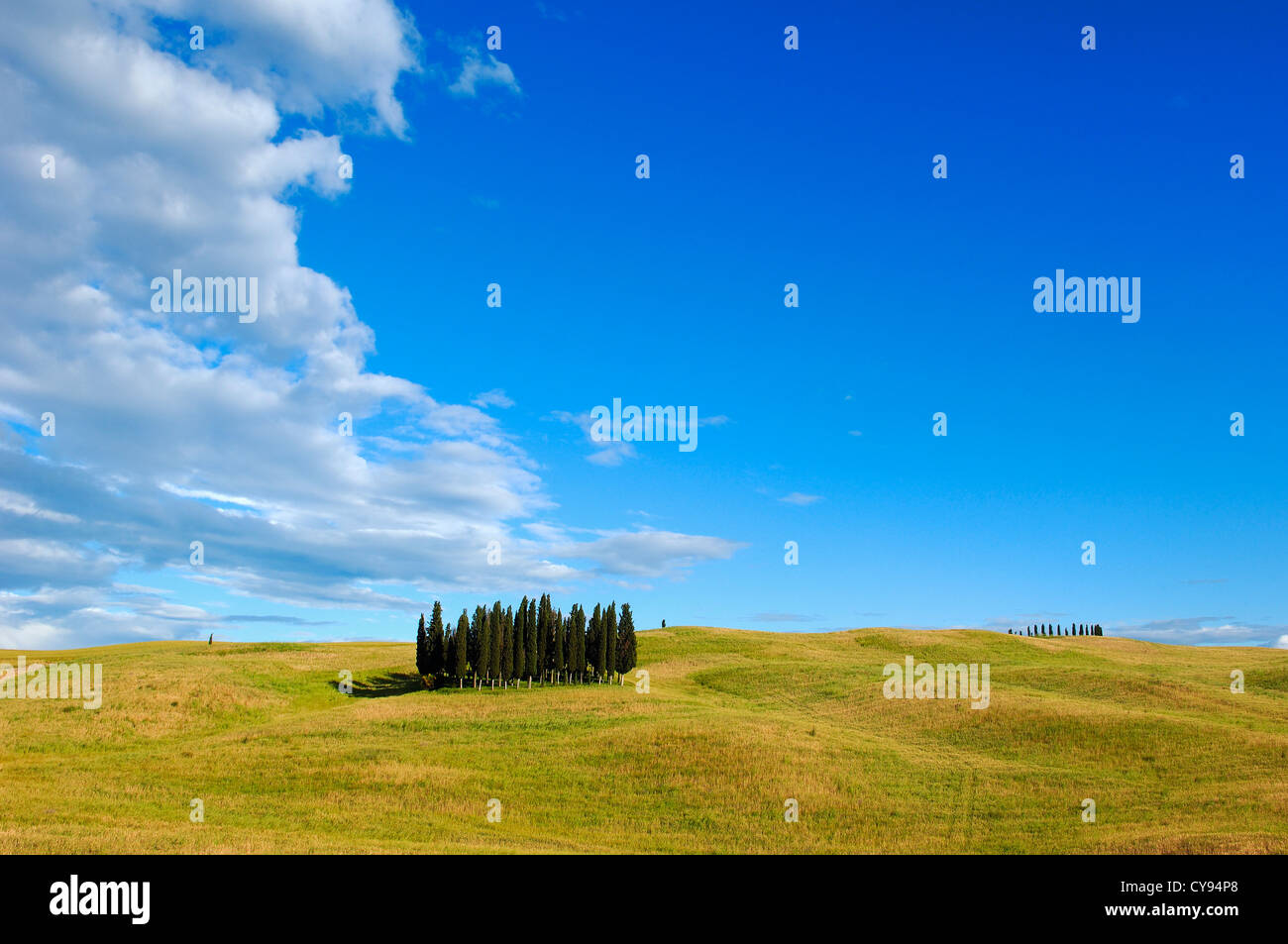 Val d'Orcia. Orcia Valley. UNESCO World Heritage Site. Cypress trees ...