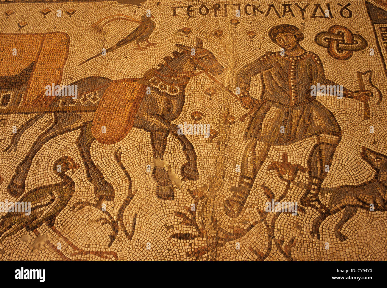 apamea, syria, middle east Stock Photo - Alamy