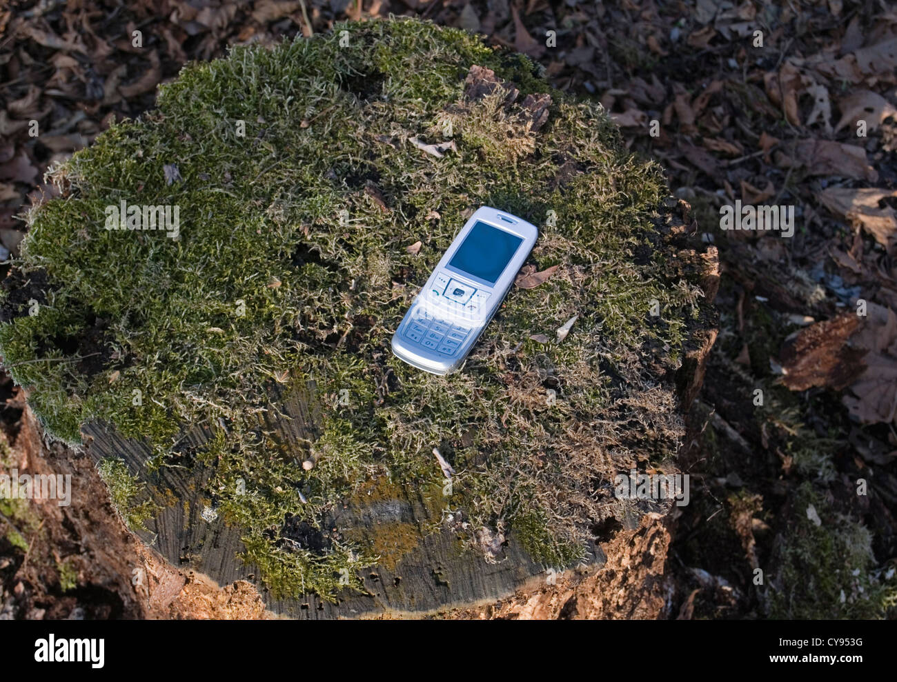 cell phone abandoned on moss covered tree stump Stock Photo - Alamy