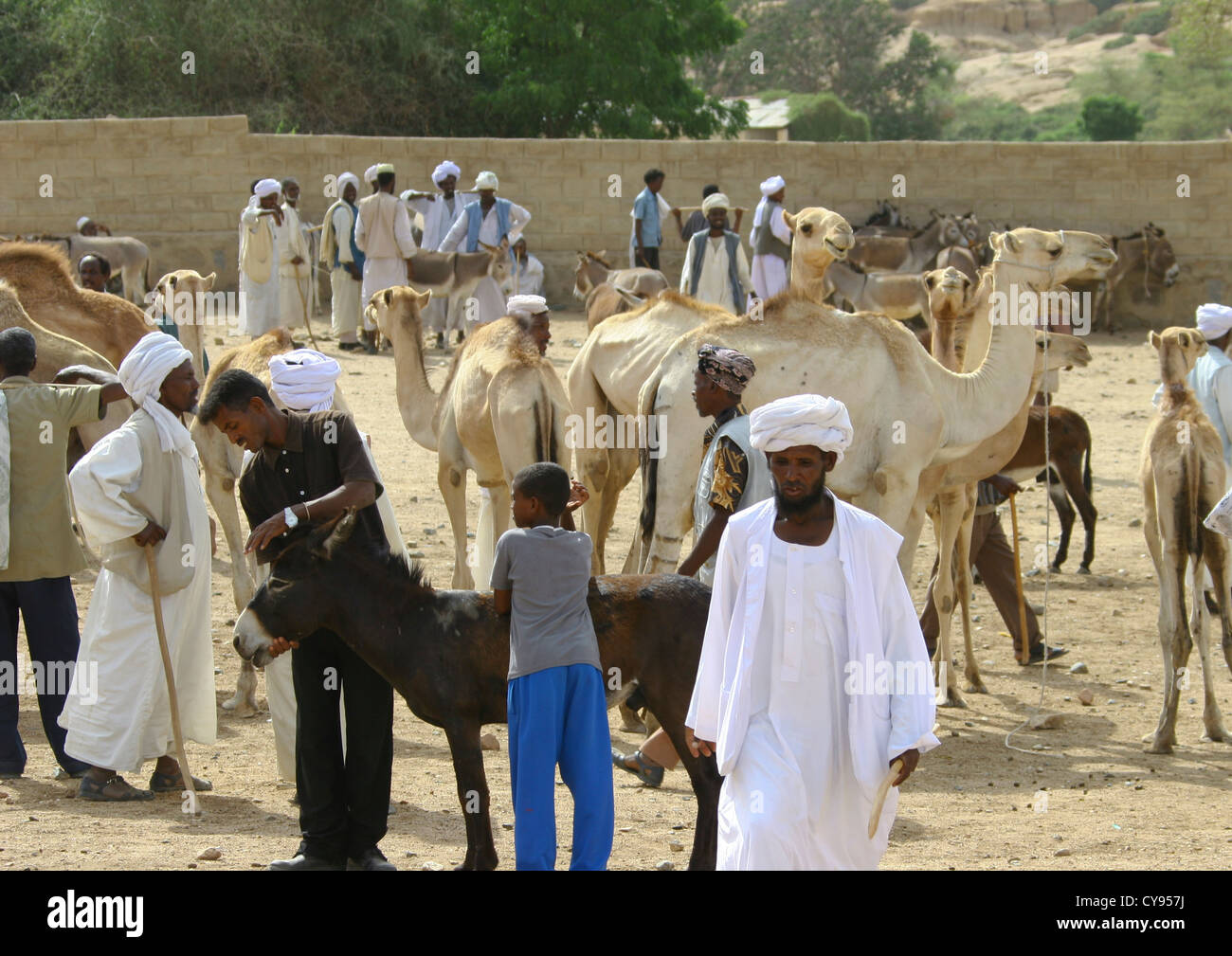 Keren Cattle Market, Eritrea Stock Photo - Alamy
