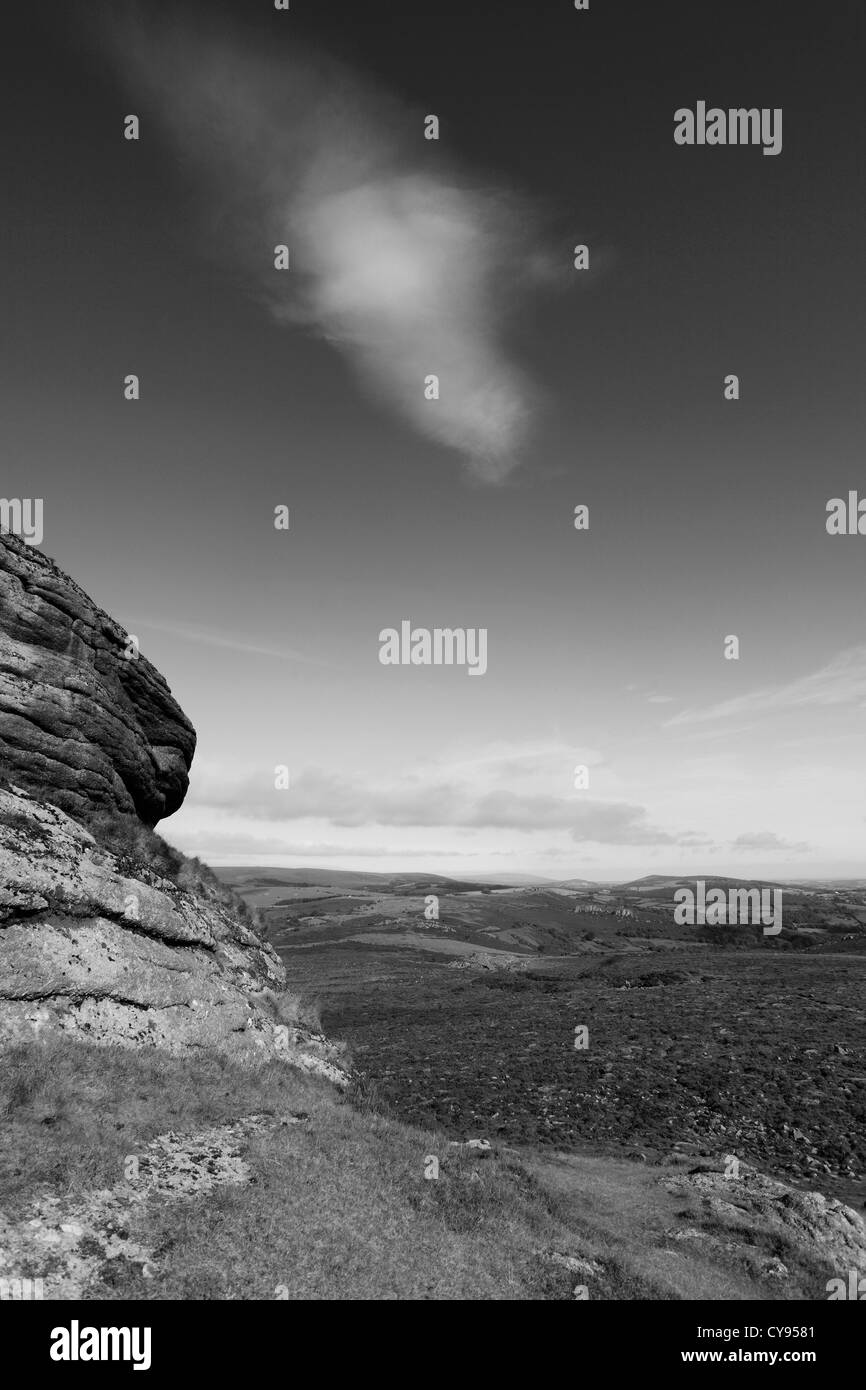 Summer, Haytor Down, Haytor Rocks, Dartmoor National Park, Devon County ...