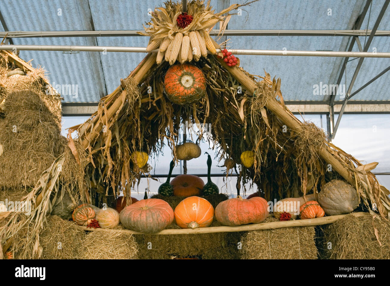 Pumpkins squash on bales of hay Stock Photo - Alamy