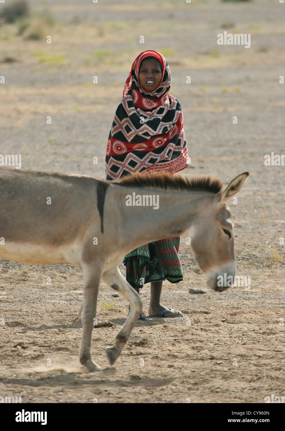 Afar Tribe Woman With Donkey In Danakil Desert, Eritrea Stock Photo - Alamy
