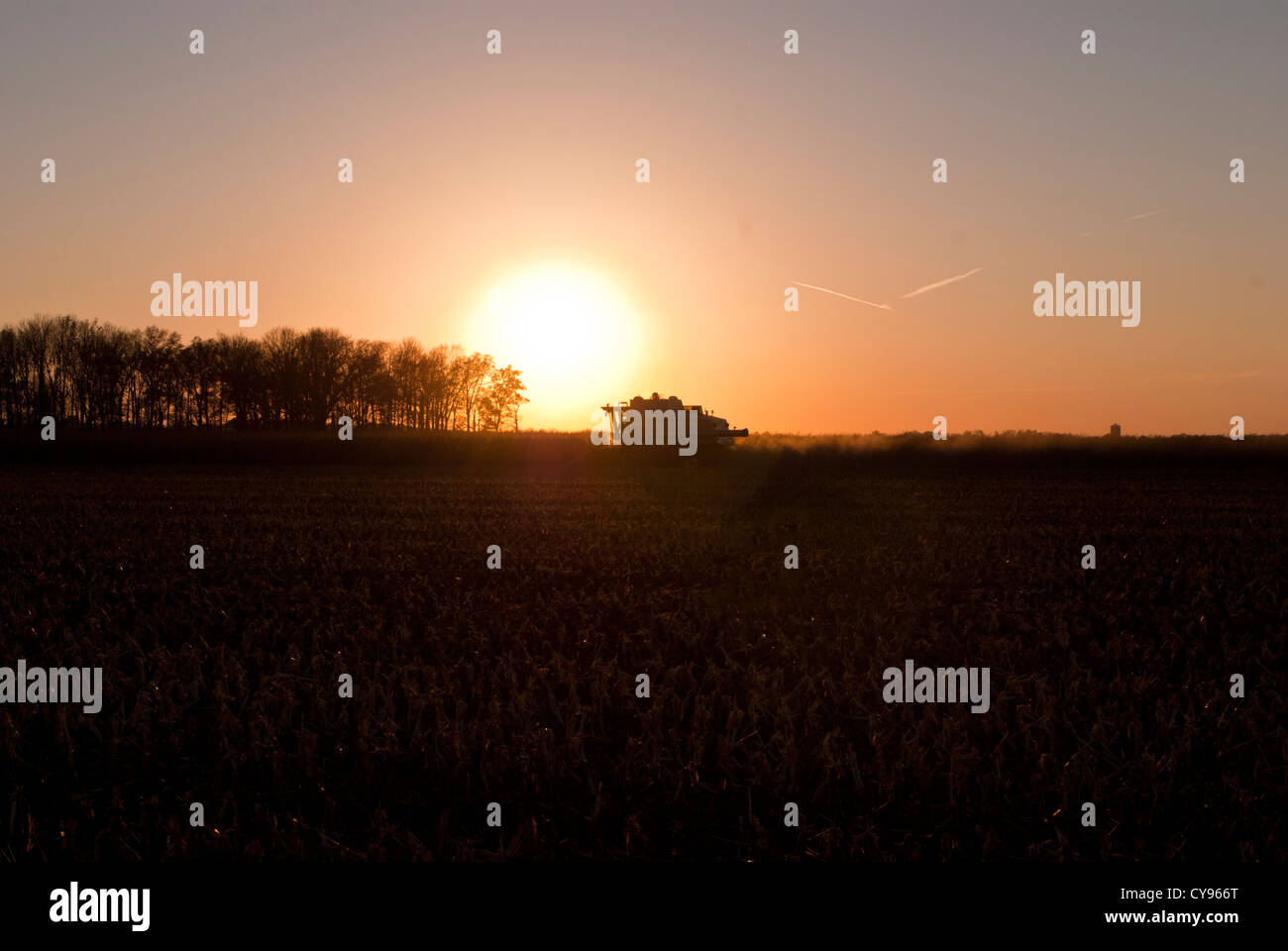 A combine harvests a corn field at sunset Stock Photo - Alamy