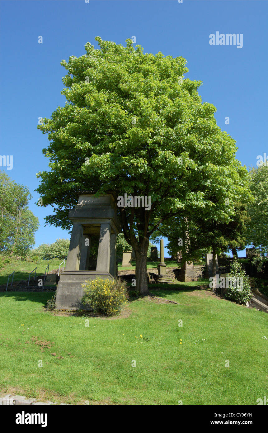 Grave stones and trees in the necropolis cemetery in Glasgow, Scotland ...