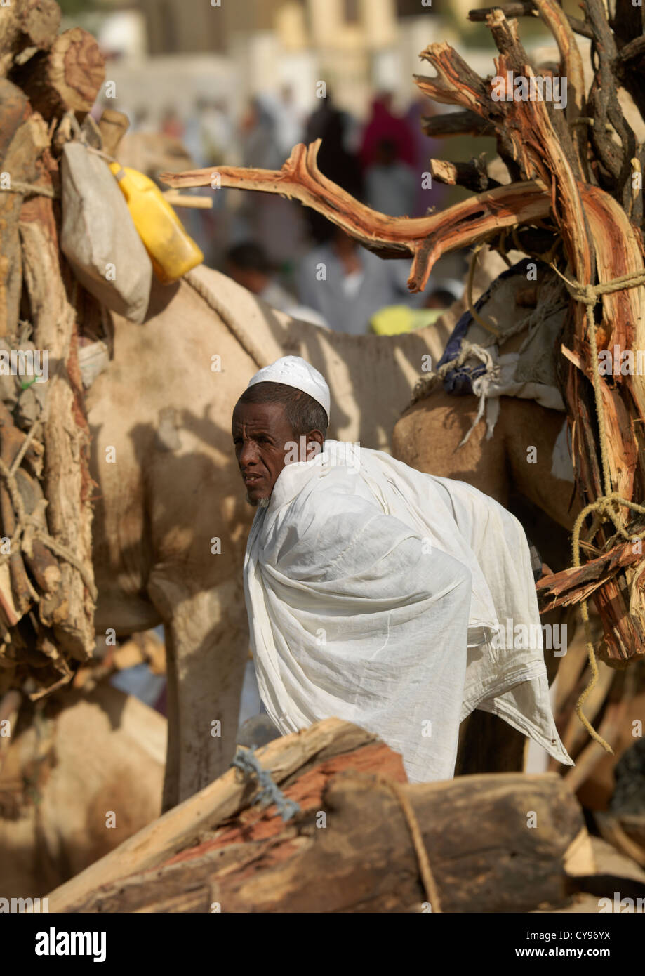 Monday Camel Market In Keren, Eritrea Stock Photo - Alamy