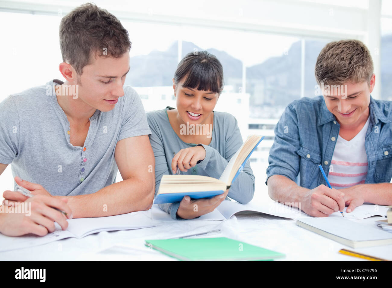 A group of students sitting together as they all study Stock Photo - Alamy