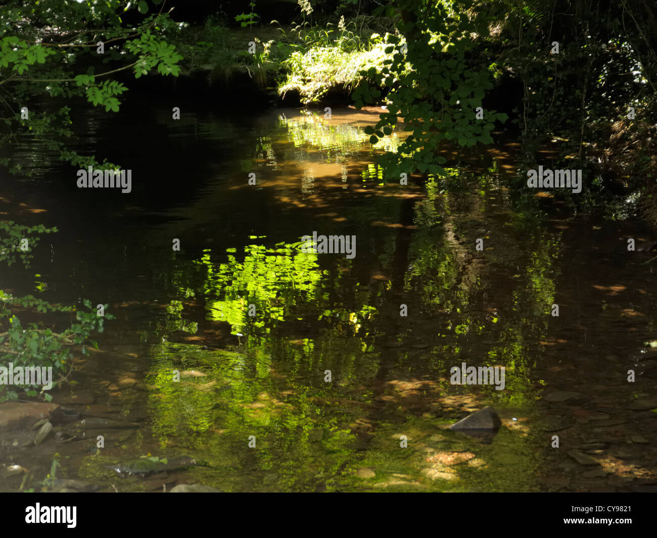 Dulas hi-res stock photography and images - Alamy