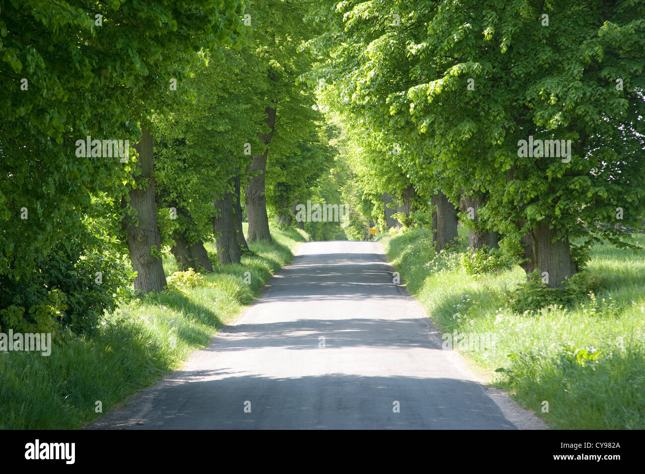 Uckermark district hi-res stock photography and images - Alamy