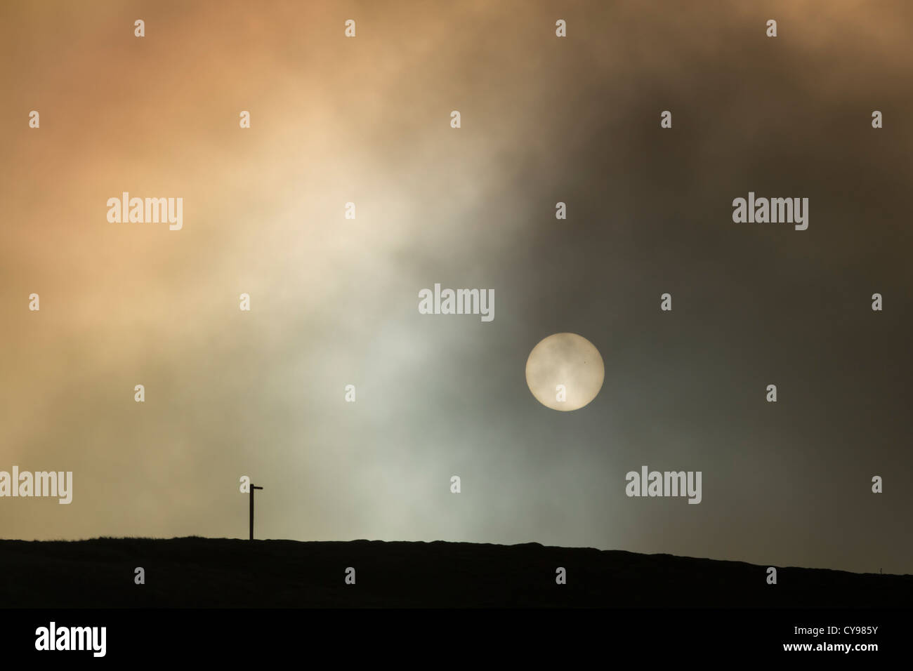 Misty morning on Abbotside Common, Wensleydale, Yorkshire Dales ...