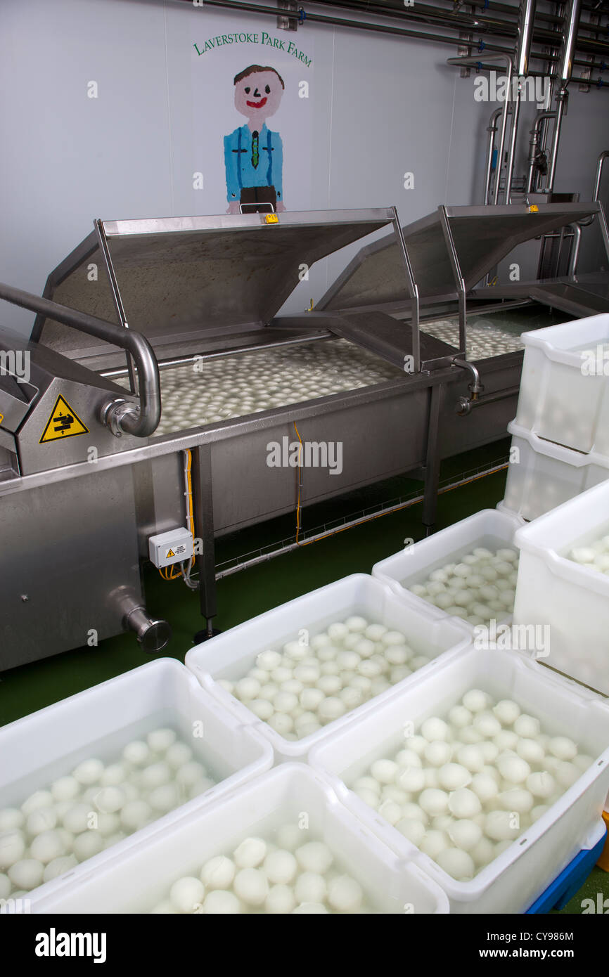 Mozzarella Maker Laverstoke Farm Stock Photo - Alamy