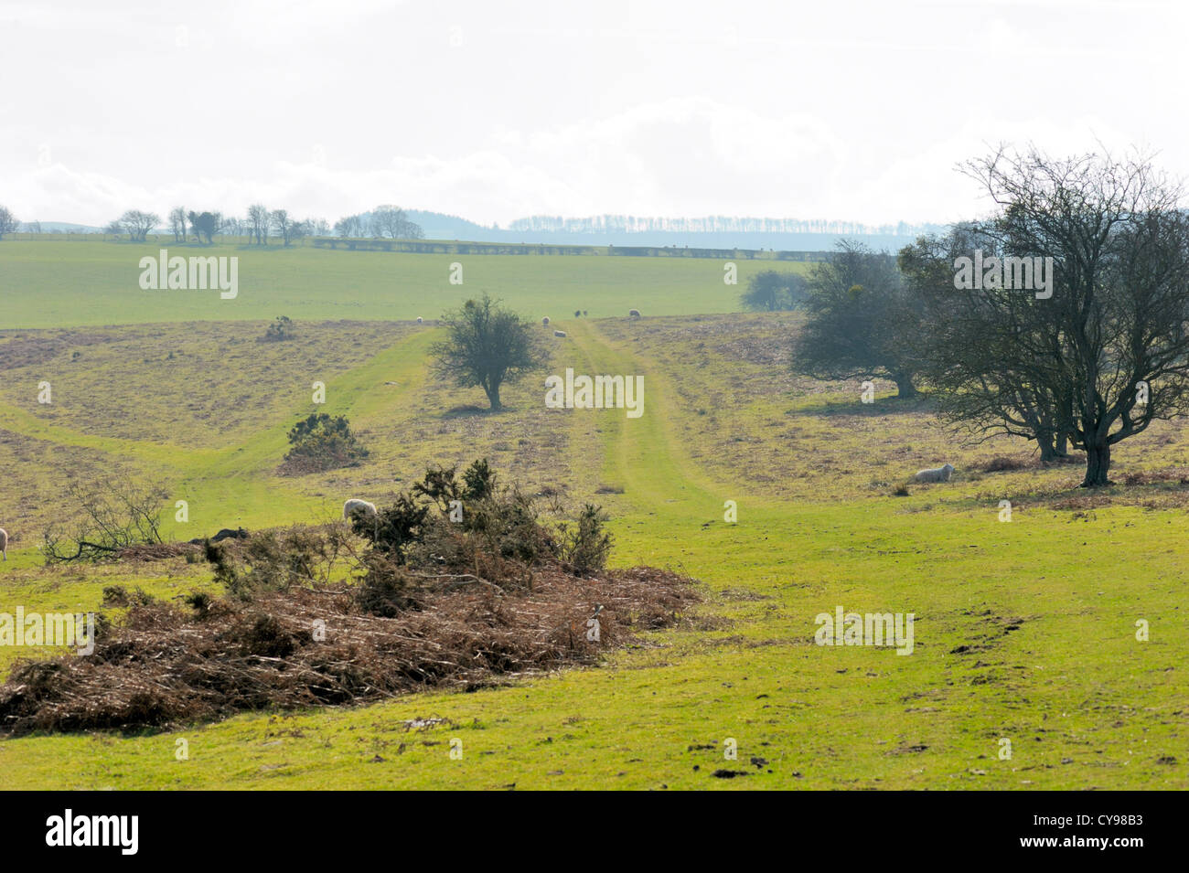 The little mountain hi-res stock photography and images - Alamy
