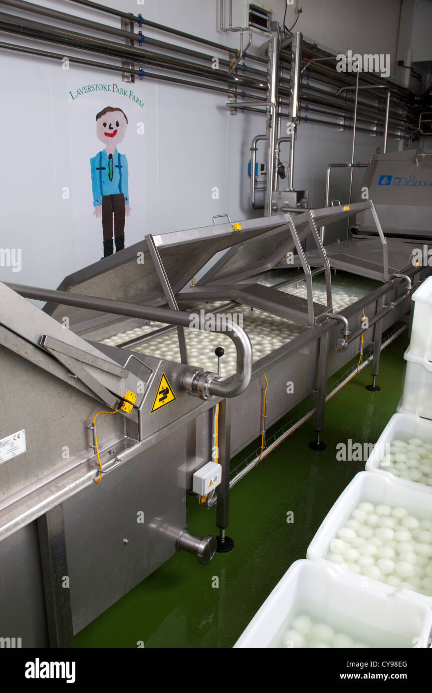 Mozzarella Production at Laverstoke Farm Stock Photo - Alamy