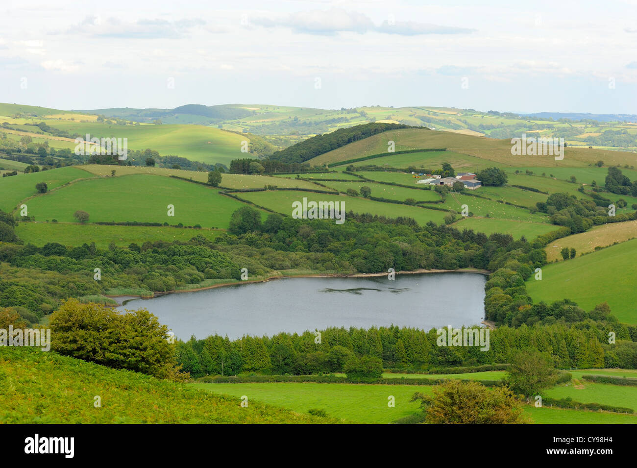 Mesotrophic hi-res stock photography and images - Alamy
