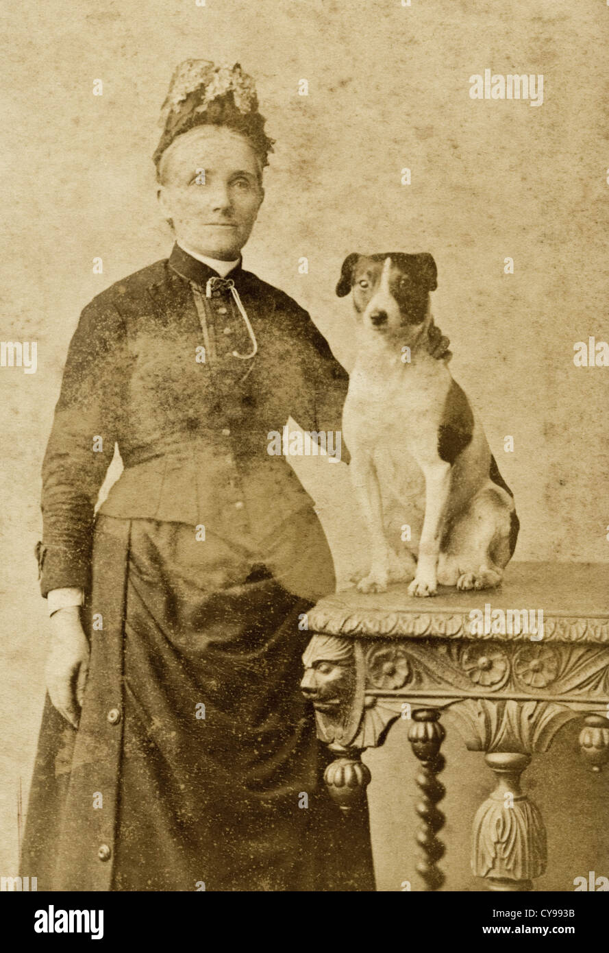 Victorian senior woman with dog studio portrait circa 1880 by ...