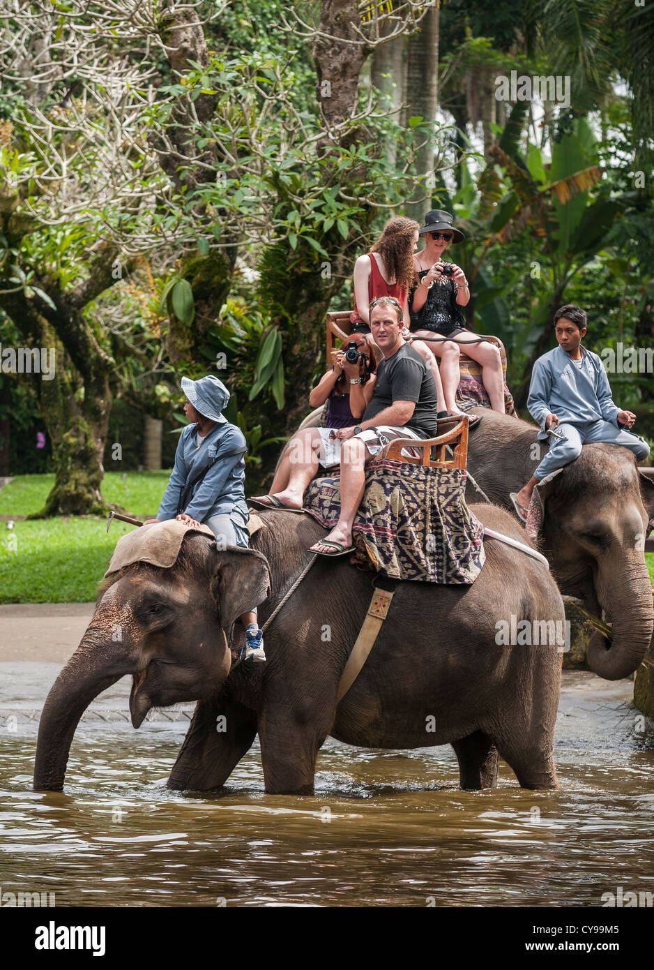 Tourists and handlers riding rescued Sumatran elephants at the Elephant ...