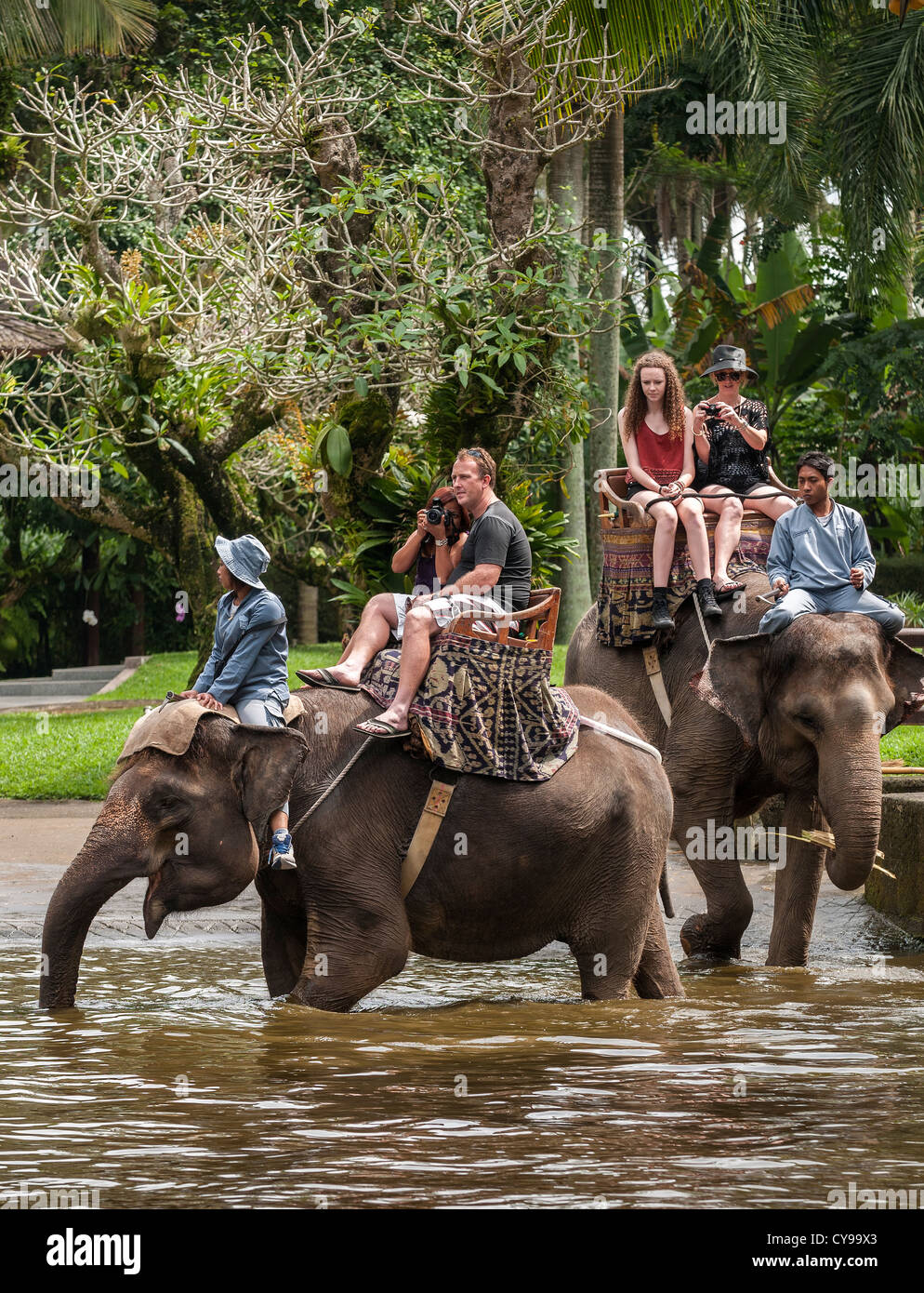 Elephants handlers hi-res stock photography and images - Alamy