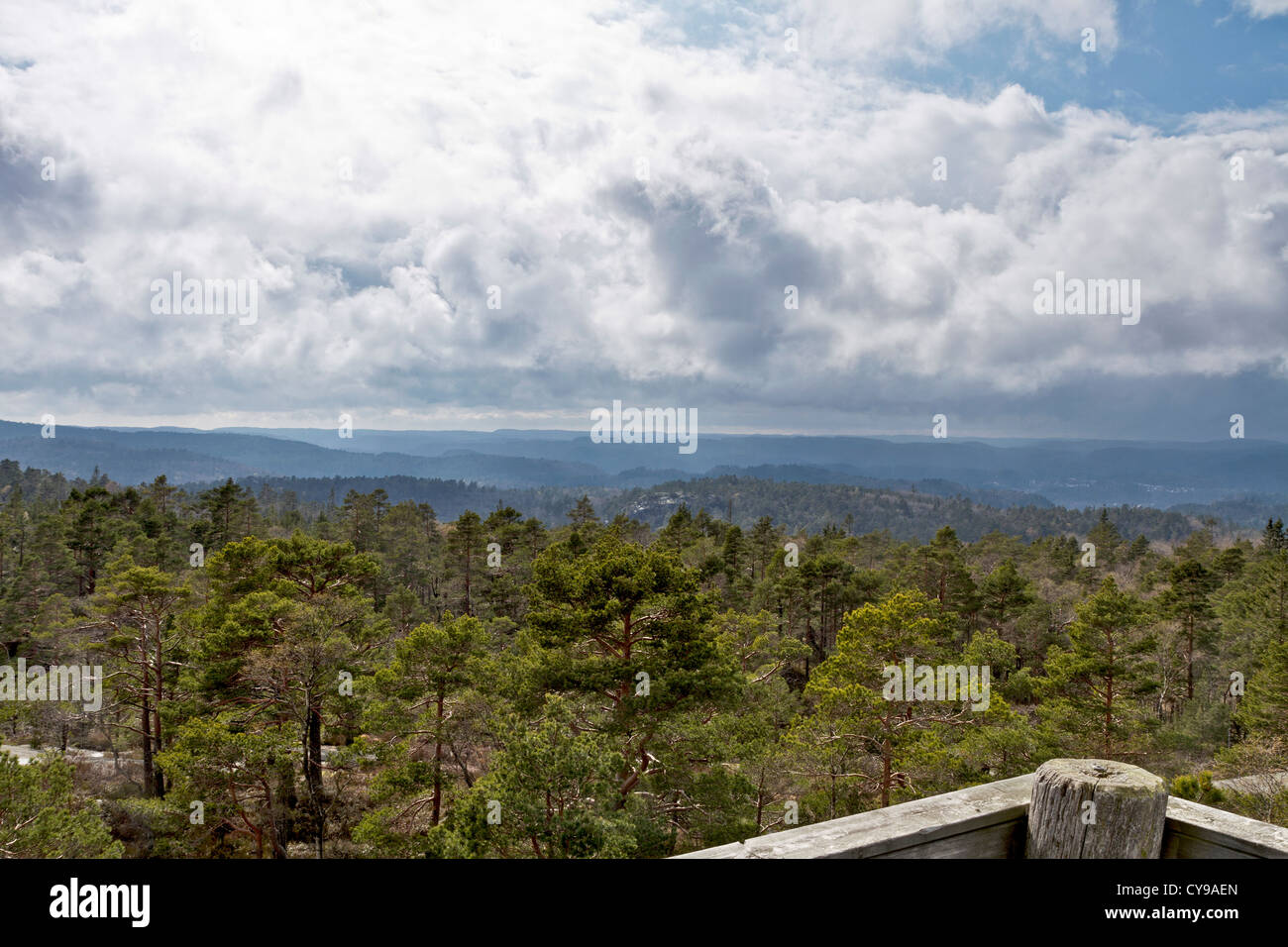 view over forest with cloudy sky - norway Stock Photo - Alamy