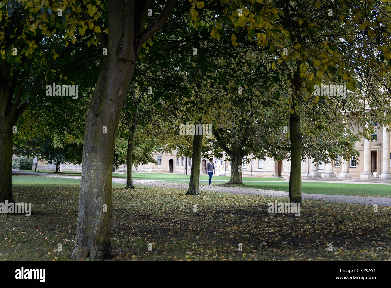 Downing college grounds Stock Photo - Alamy