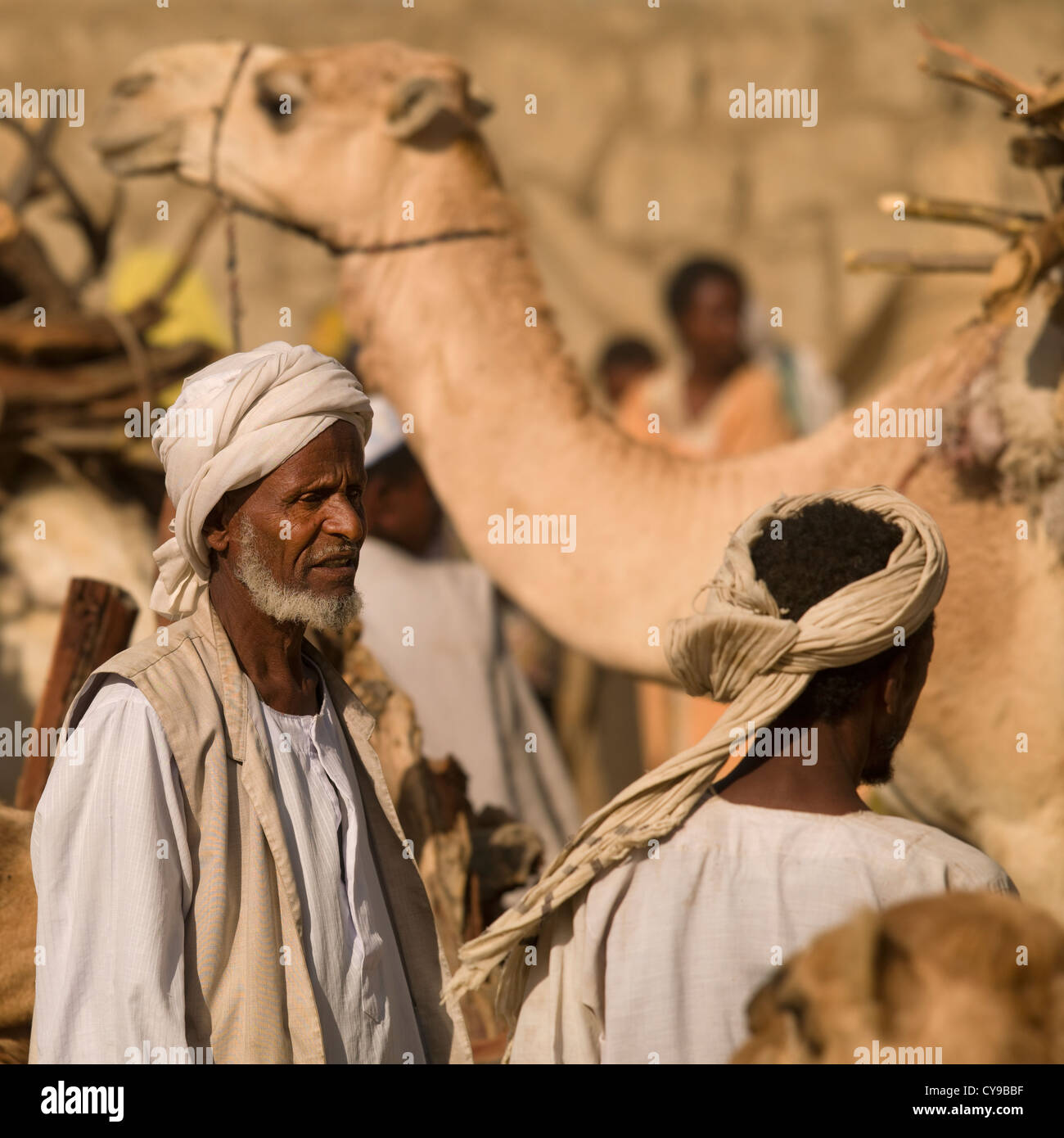 Monday Camel Market In Keren, Eritrea Stock Photo - Alamy