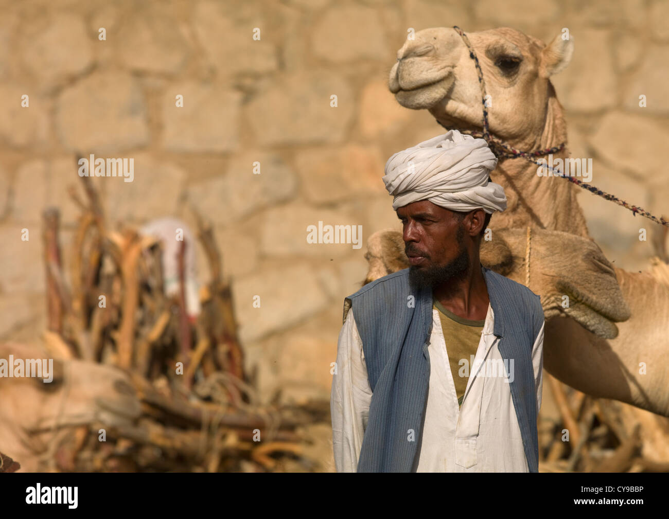 Monday Camel Market In Keren, Eritrea Stock Photo - Alamy