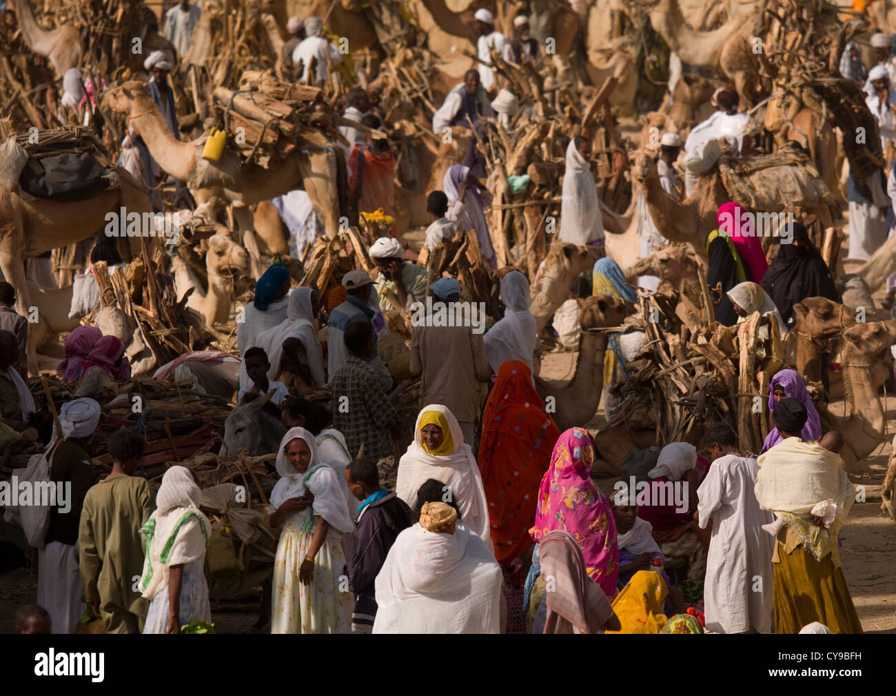 Monday Camel Market In Keren, Eritrea Stock Photo - Alamy