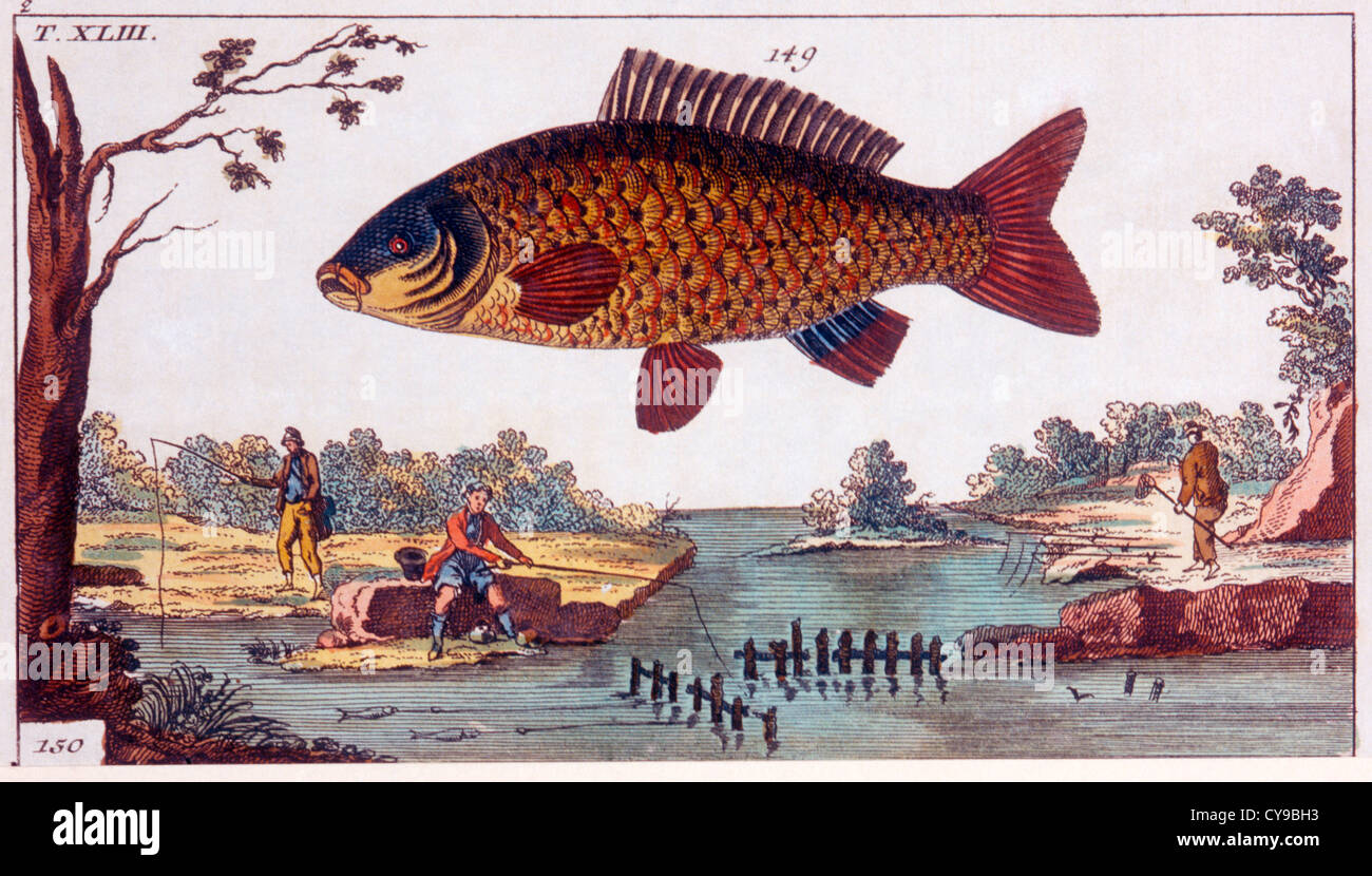 Fish woodcut hi-res stock photography and images - Alamy