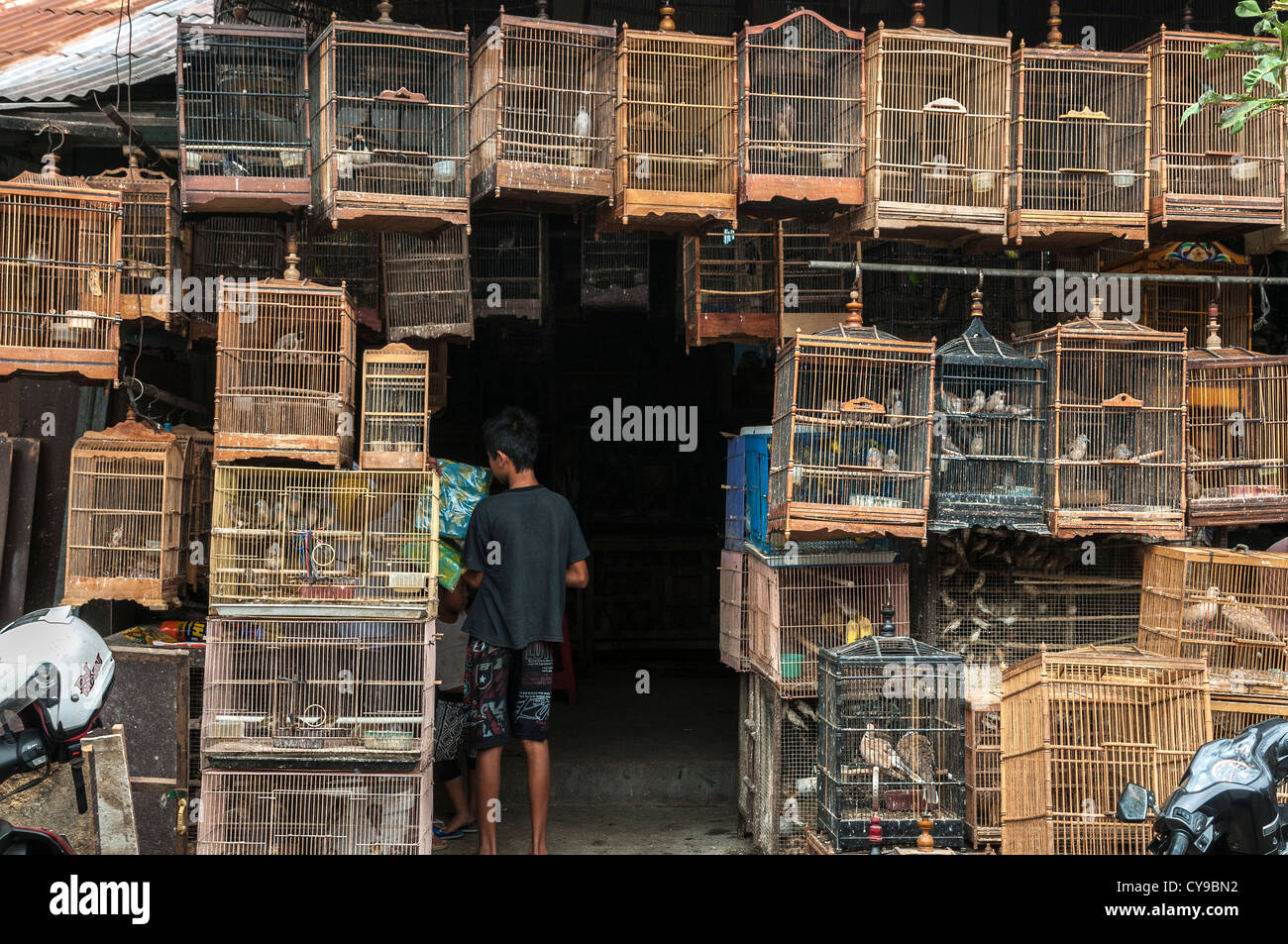 Bali bird cage hi-res stock photography and images - Alamy