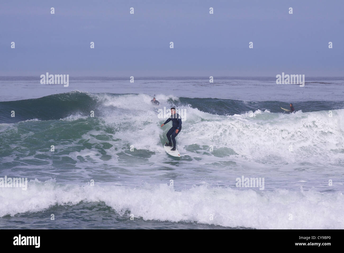Surfer on rolling sea waves hi-res stock photography and images - Alamy