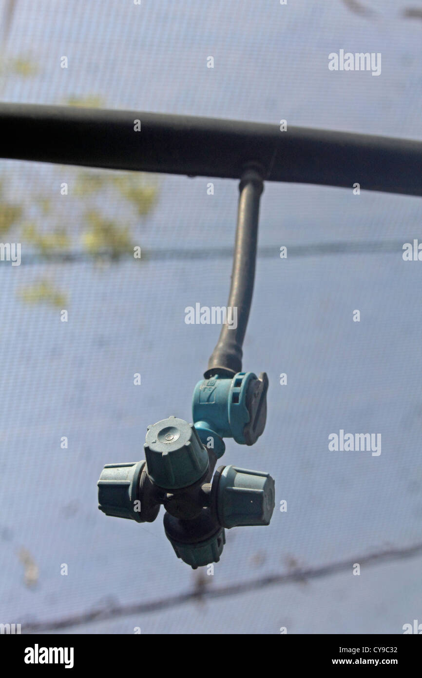 Microjet Sprinkler For Water Irrigation, India Stock Photo - Alamy
