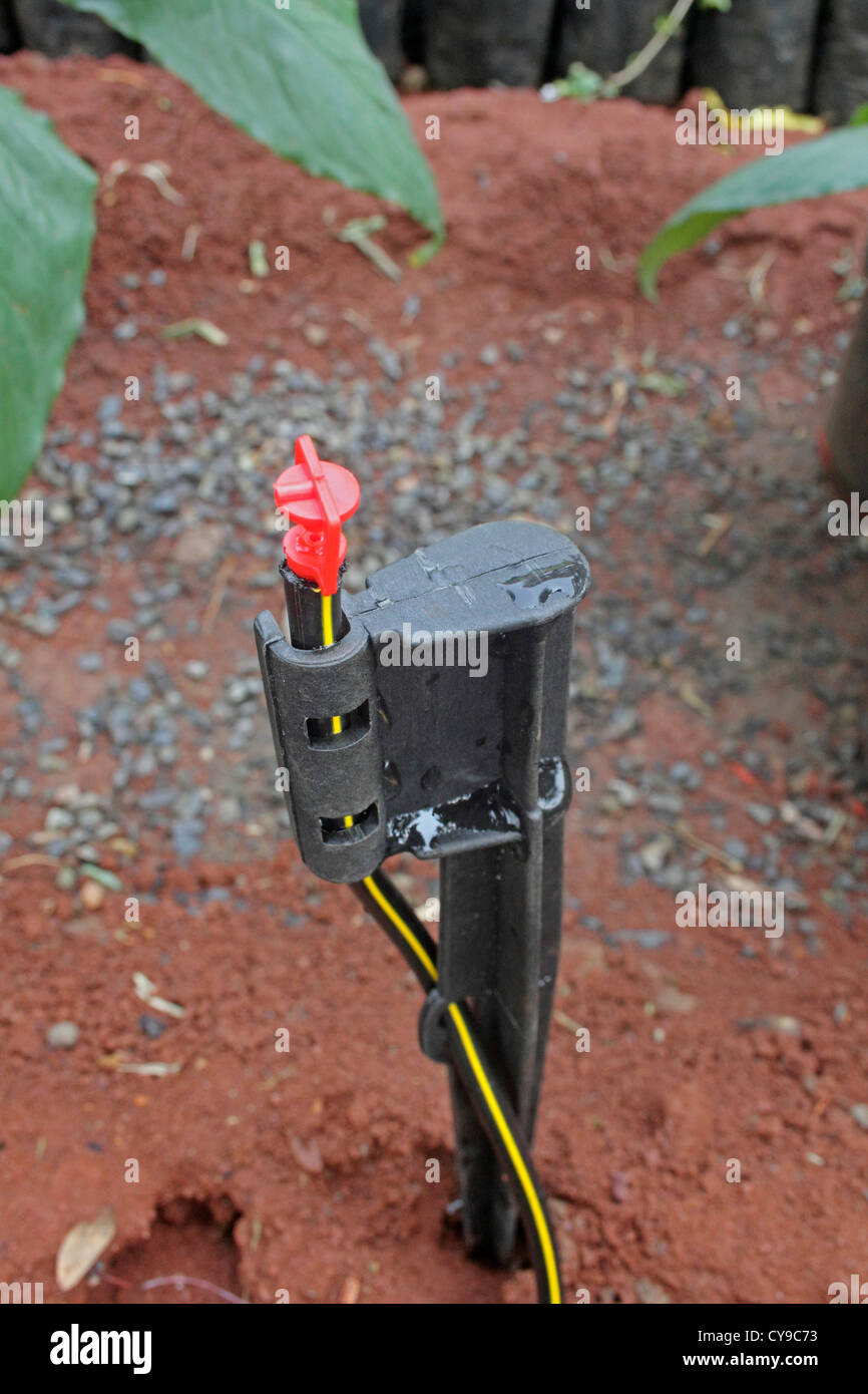Microjet Sprinkler For Water Irrigation, India Stock Photo - Alamy