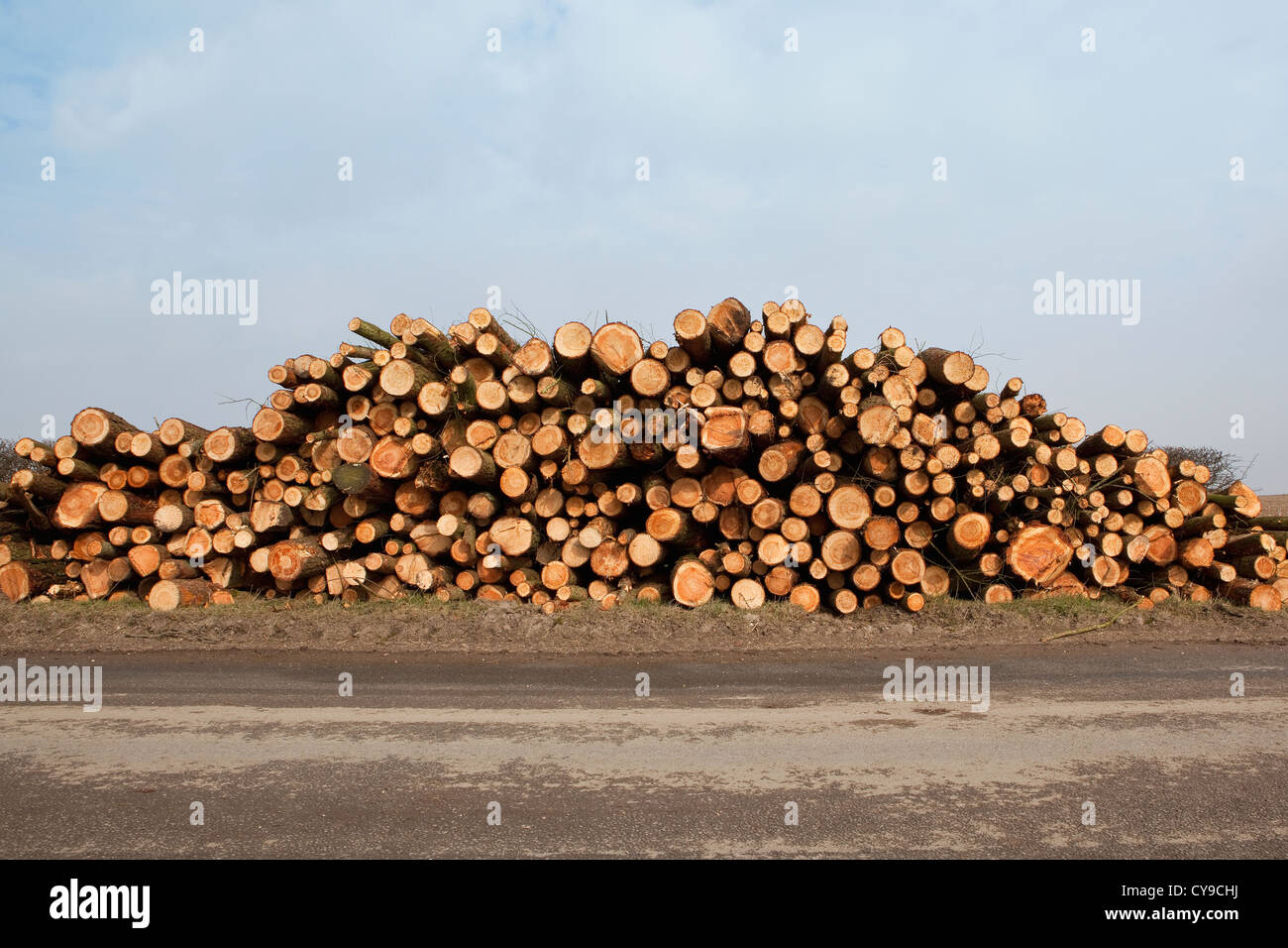 Larch timber hi-res stock photography and images - Alamy