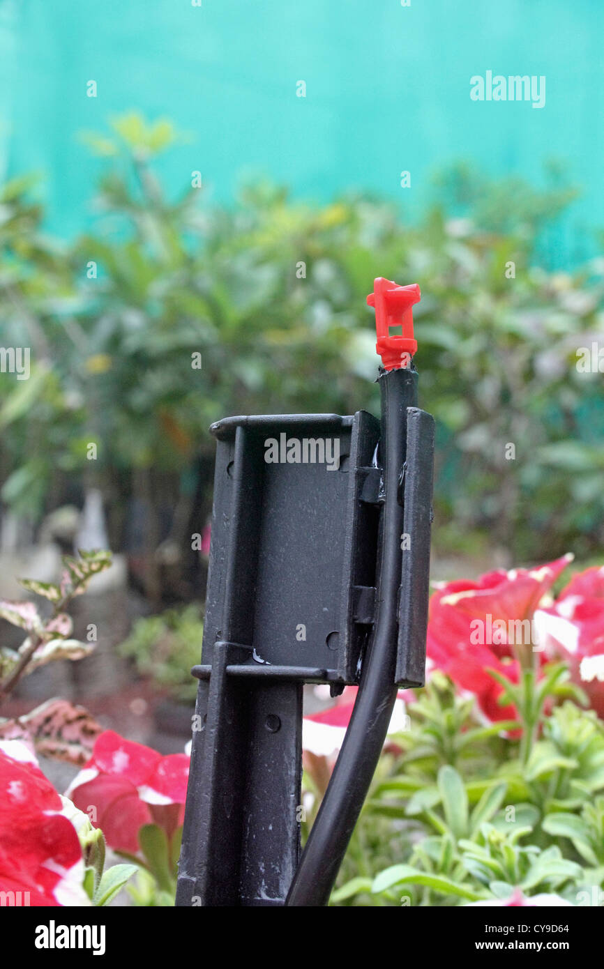 Microjet Sprinkler For Water Irrigation, India Stock Photo - Alamy