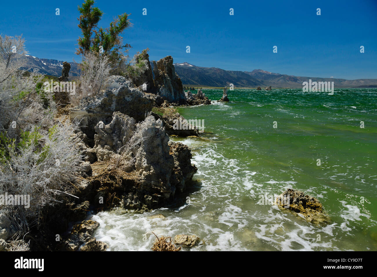 Underwater springs hi-res stock photography and images - Alamy