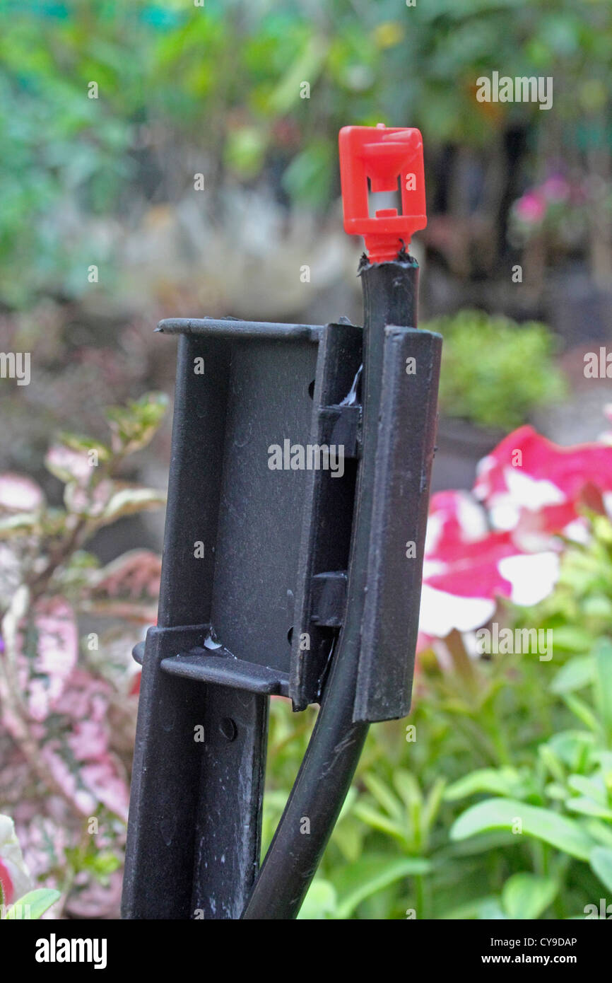 Micro sprinkler irrigation hi-res stock photography and images - Alamy