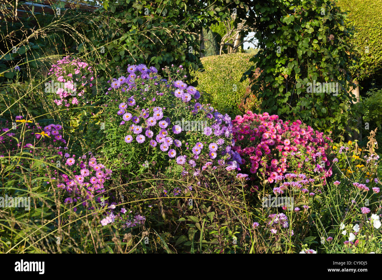 Fall garden design flower beds hi-res stock photography and images - Alamy