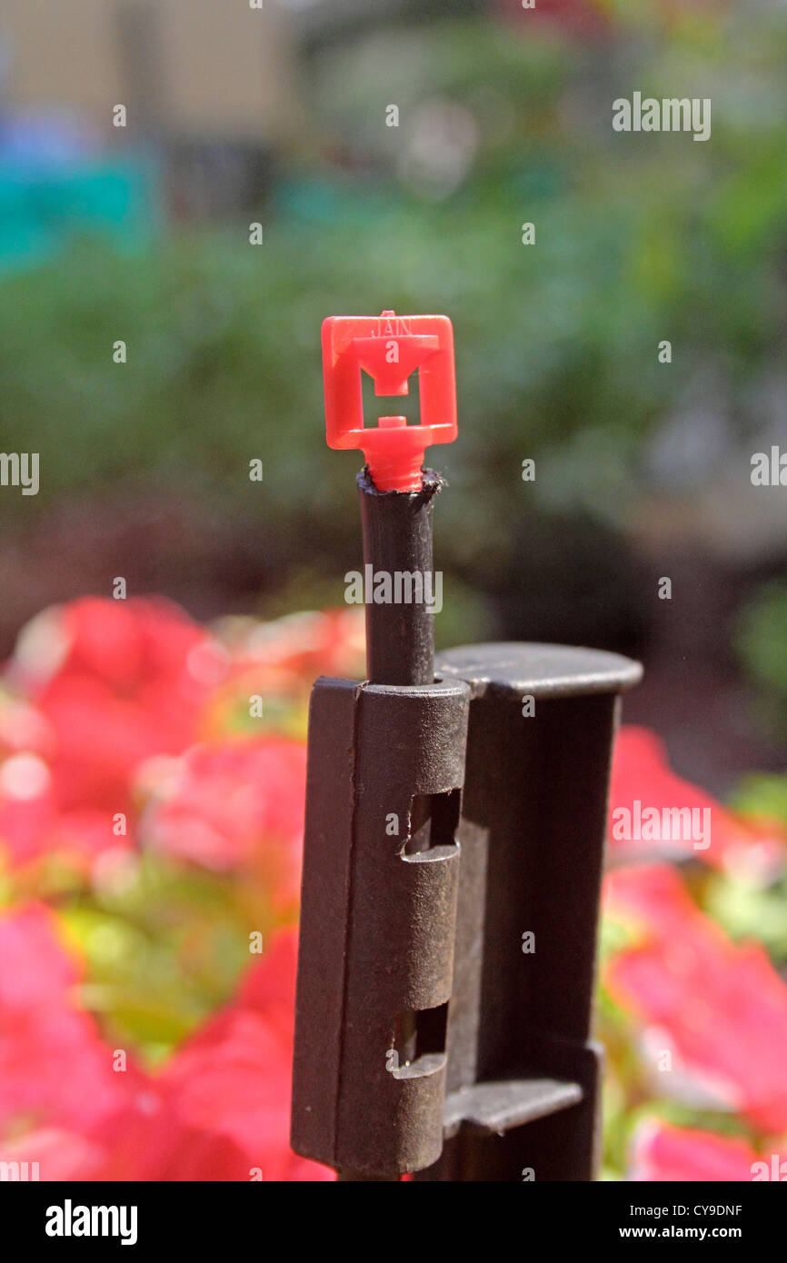 Microjet Sprinkler For Water Irrigation, India Stock Photo - Alamy