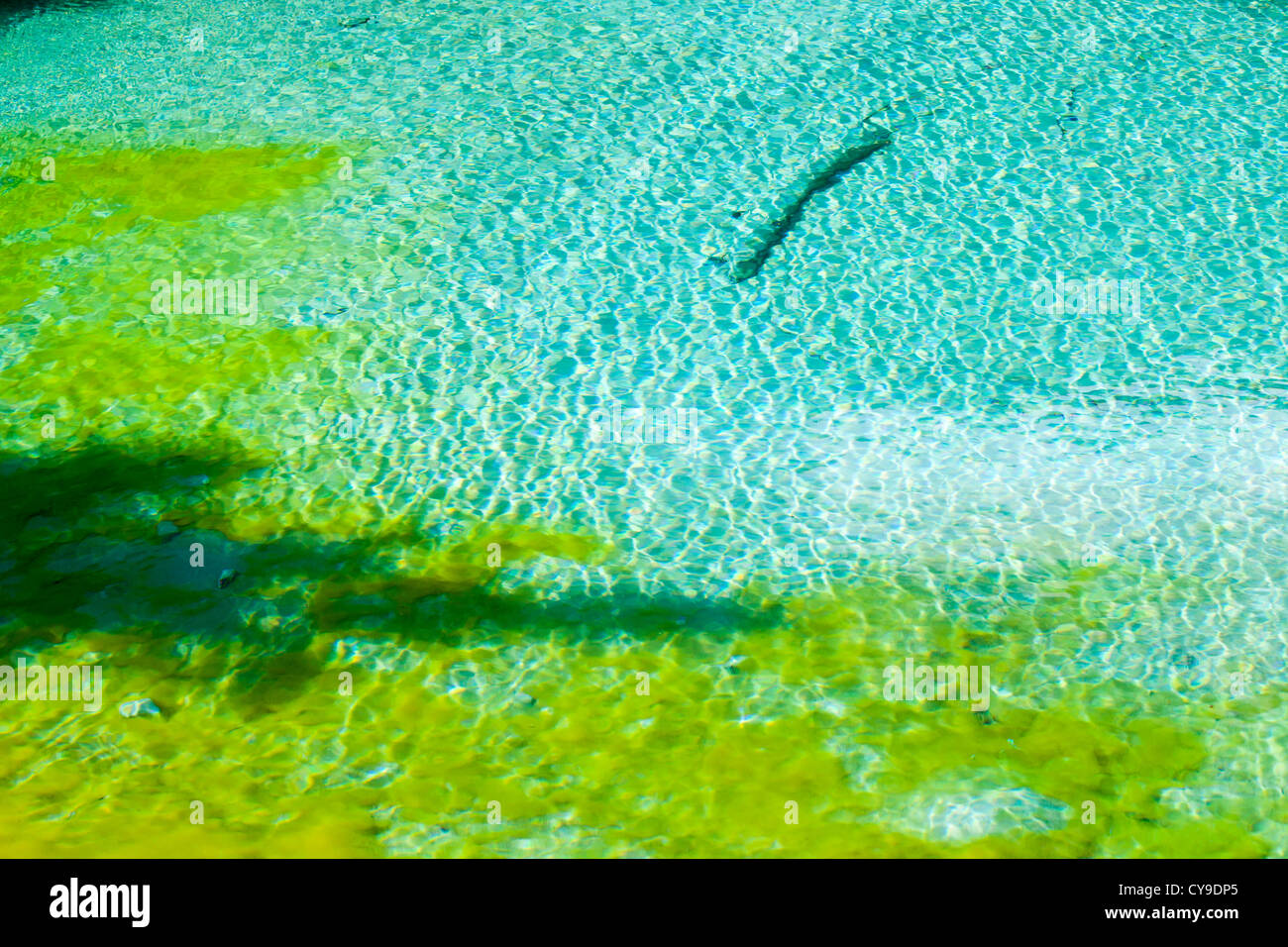 The Ink Pots, limestone spring water pools in Johnsons Canyon in the ...