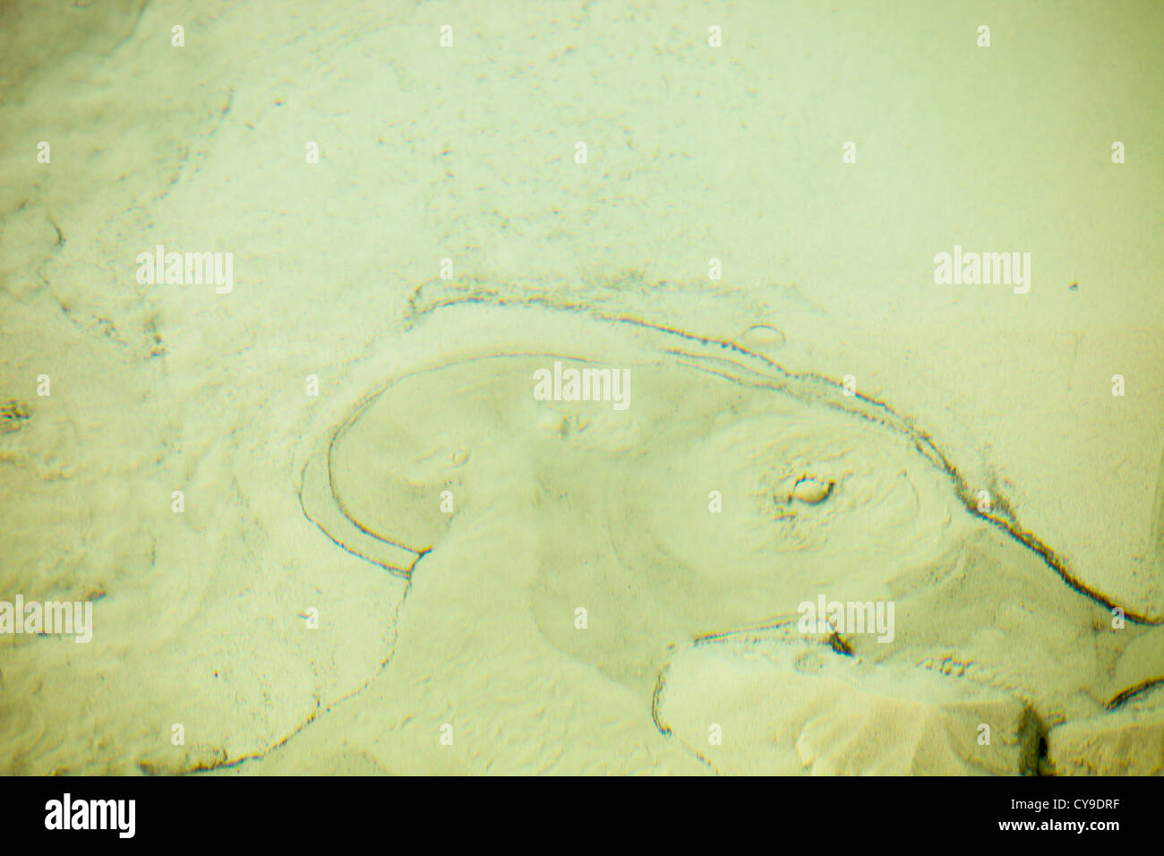 The Ink Pots, limestone spring water pools in Johnsons Canyon in the ...