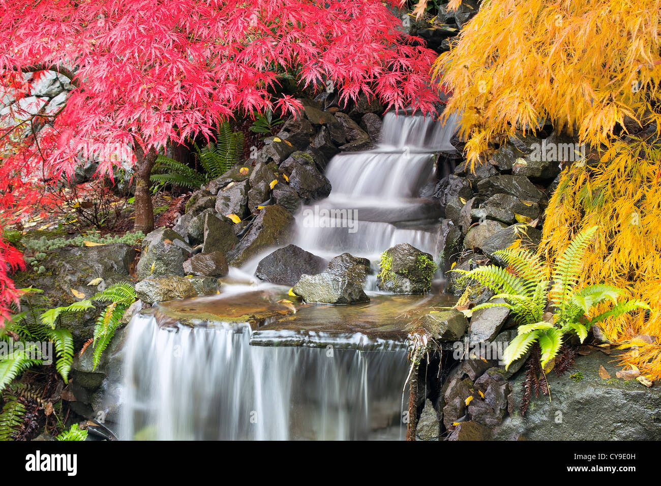Garden waterfall feature hi-res stock photography and images - Alamy