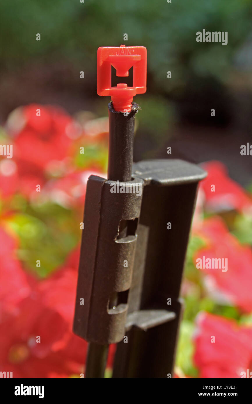 Microjet Sprinkler For Water Irrigation, India Stock Photo - Alamy