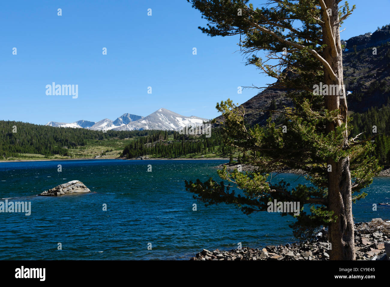 Tioga Pass from Lee Vining to Yosemite, Route 120 - Tioga Lake. View ...