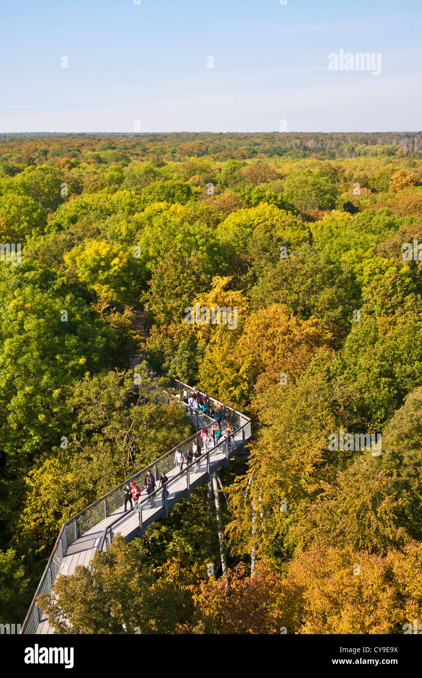 Thüringen forest germany hi-res stock photography and images - Alamy