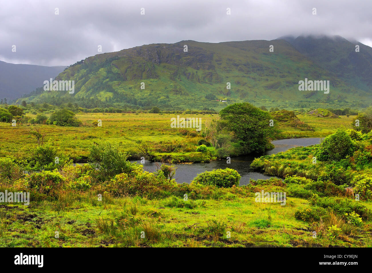 Rainy day at Cloonee Lakes, Cloonee, Kerry County, Ireland Stock Photo ...