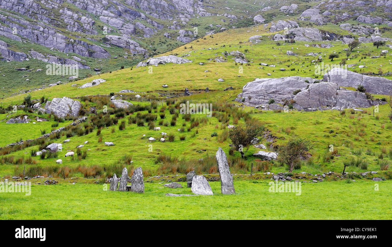 Sheep grazing on a hill behind a small stone circle near Cloonee Lakes ...