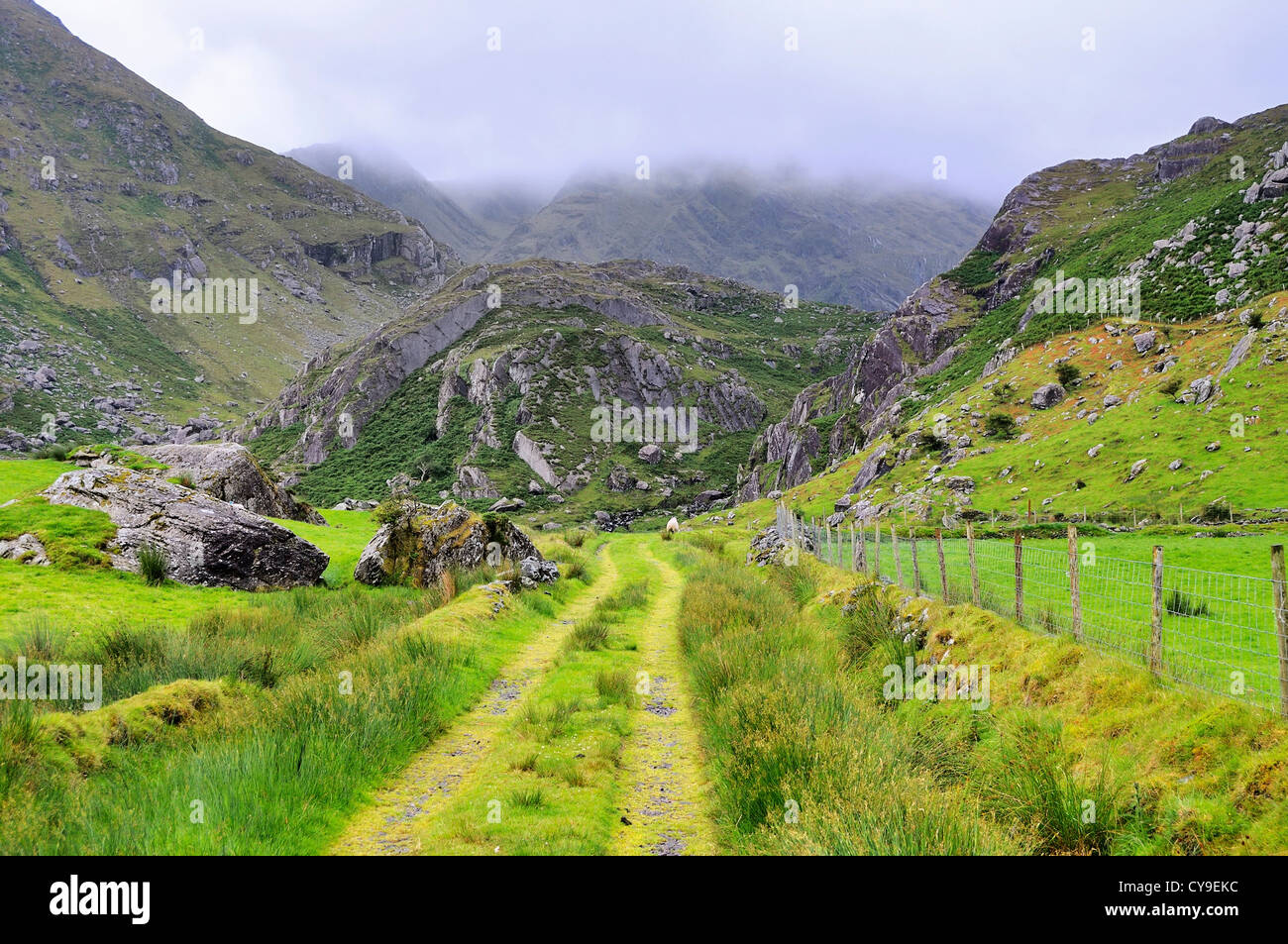 Rainy day at Cloonee Lakes, Cloonee, Kerry County, Ireland Stock Photo ...