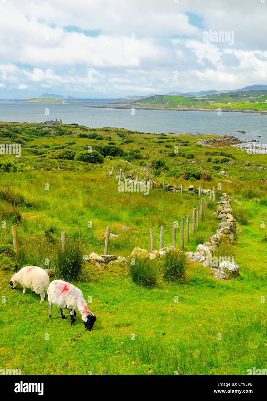 Costal ecosystem hi-res stock photography and images - Alamy