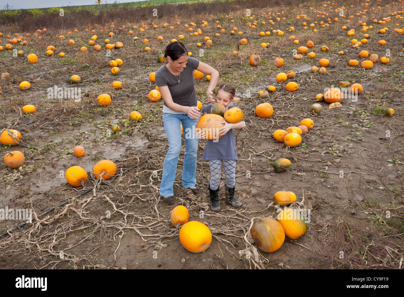 Mother and daughter picking pumpkins, pick-your-own farm in upstate New ...